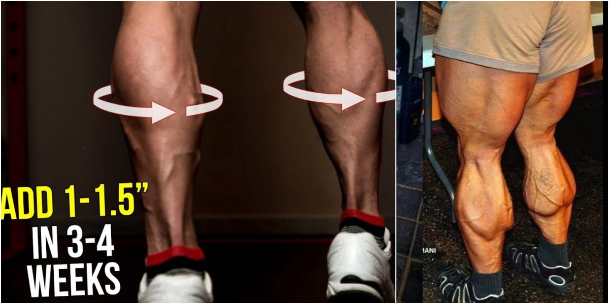 STOP Doing This If You Want To Grow Big Calves STOP Doing This If You Want To Grow Big Calves